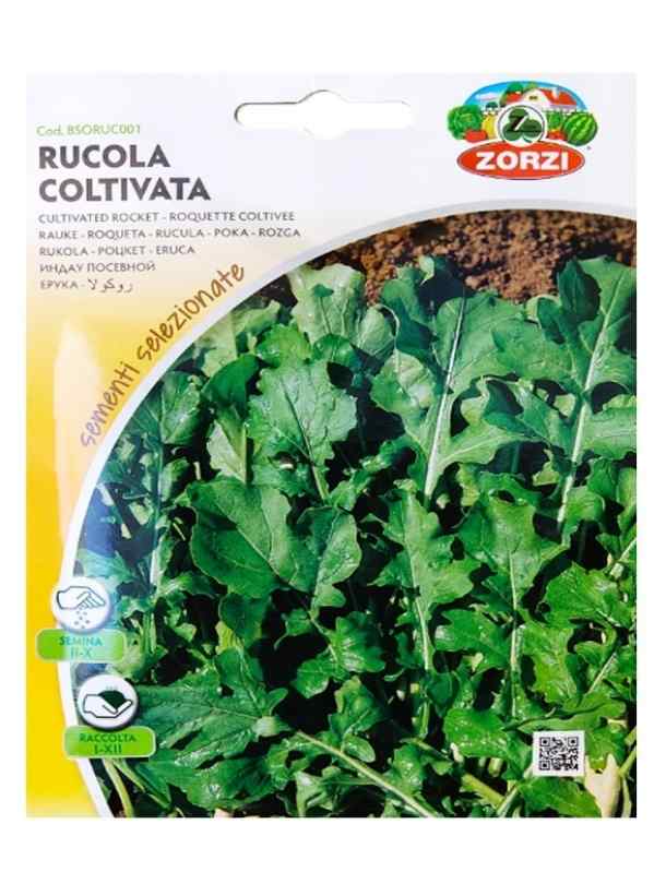 Cultivated Rocket | Indoor, outdoor Plants Delivery Dubai, UAE – Green ...