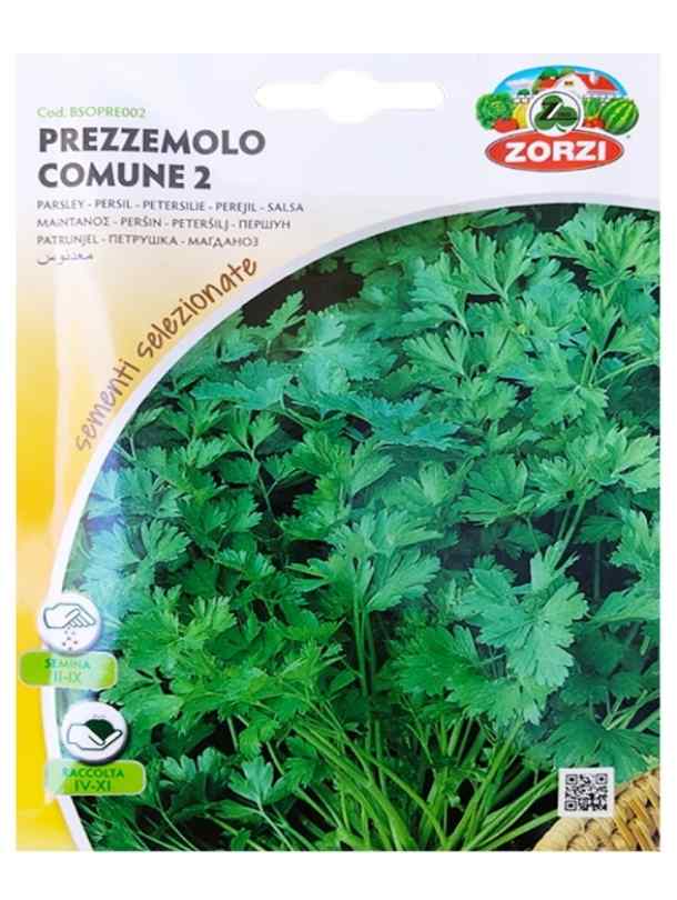 Parsley seeds | Indoor & Outdoor Plants | Flower Delivery in Dubai,UAE ...
