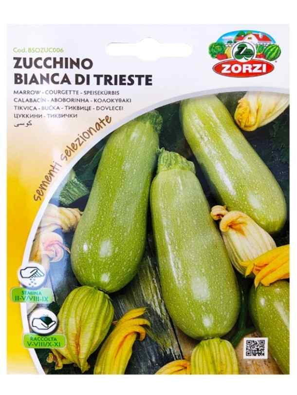 Marrow Seeds | Indoor & Outdoor Plants | Flower Delivery in Dubai, UAE ...