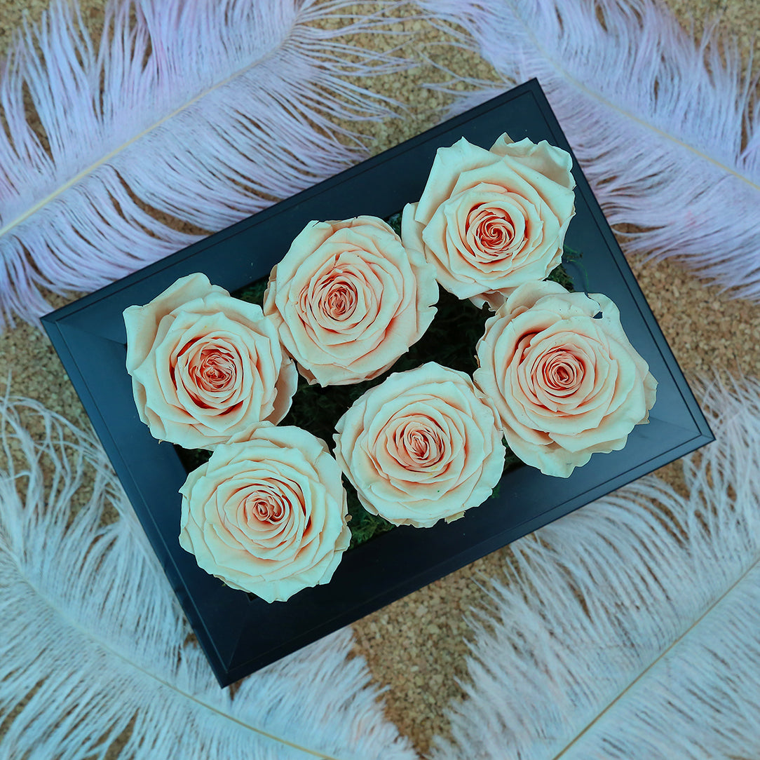 Delightful Light Pink infinity Roses | Order Valentine's Day Flowers ...